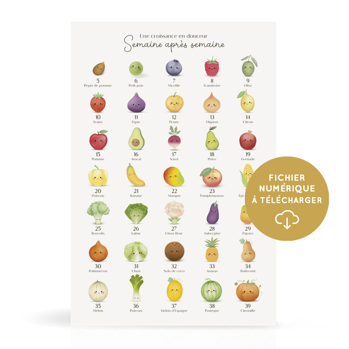 Affiche grossesse, croissance bébé légumes et fruits